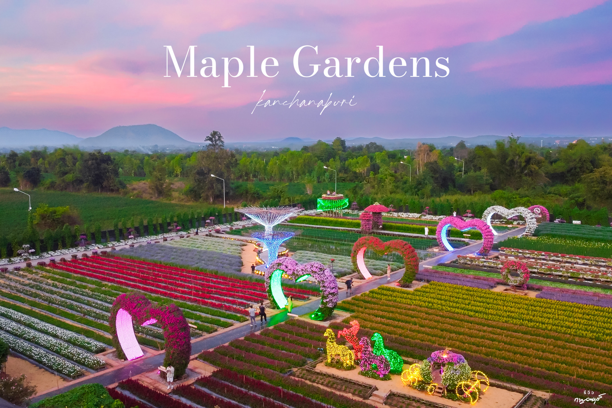 3 Dec - 8 Jan 2023 เวลา 7:00 - 20:00 - Maple Gardens - สวนเมเปิ้ล ครั้งที่ 6